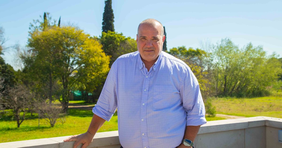 Julián Galdeano, jefe de campaña de Losada: No era necesaria tanta ...