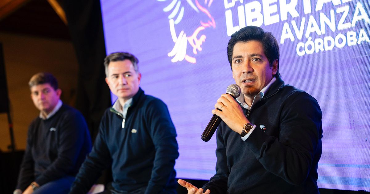 Córdoba: quién es Gonzalo Roca, el león más obediente de la manada de ...