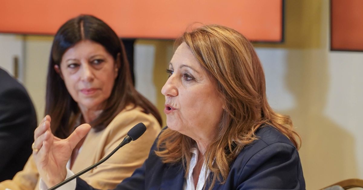 Mónica Fein: Queremos mirar al futuro con experiencia y renovación