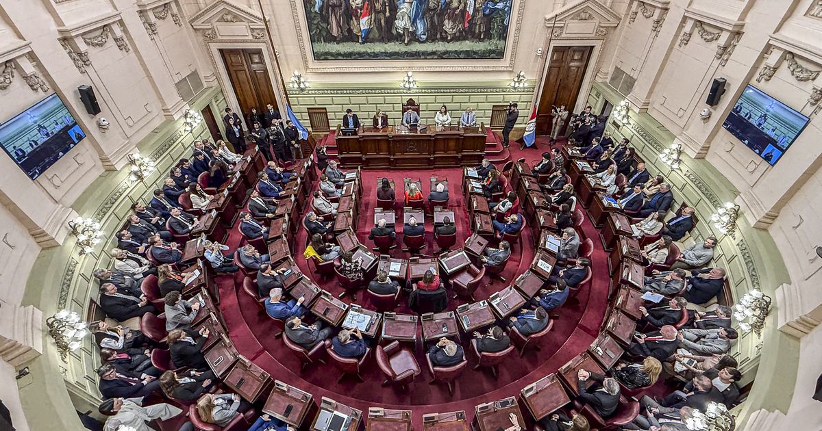 Carolina serra she furthermore has a bit of a angular face