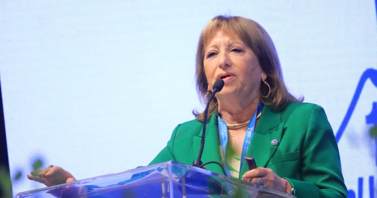 Córdoba: Amelia López deja la Defensoría de la Niñez y busca blindar el ...