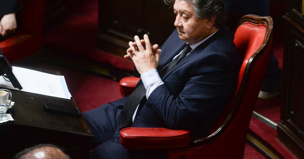 Hay un votante desencantado con Javier Milei, advierte el mileísta ...