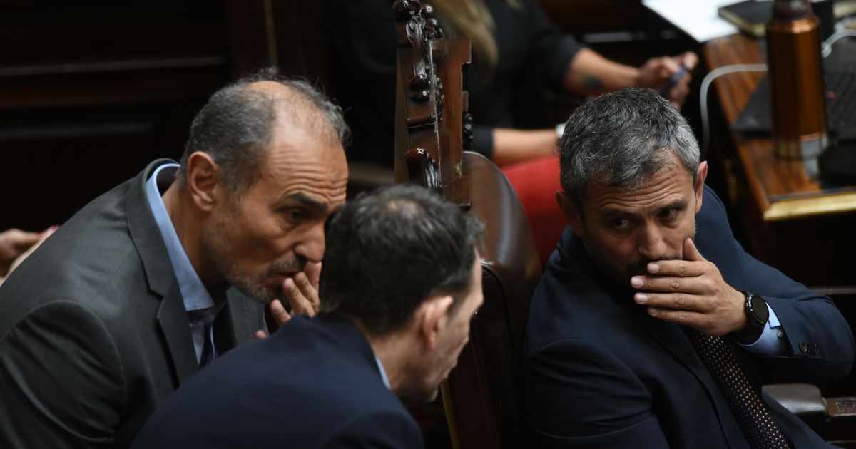 FMI por DNU: para blindar el decreto, Martín Menem contiene a rebeldes ...