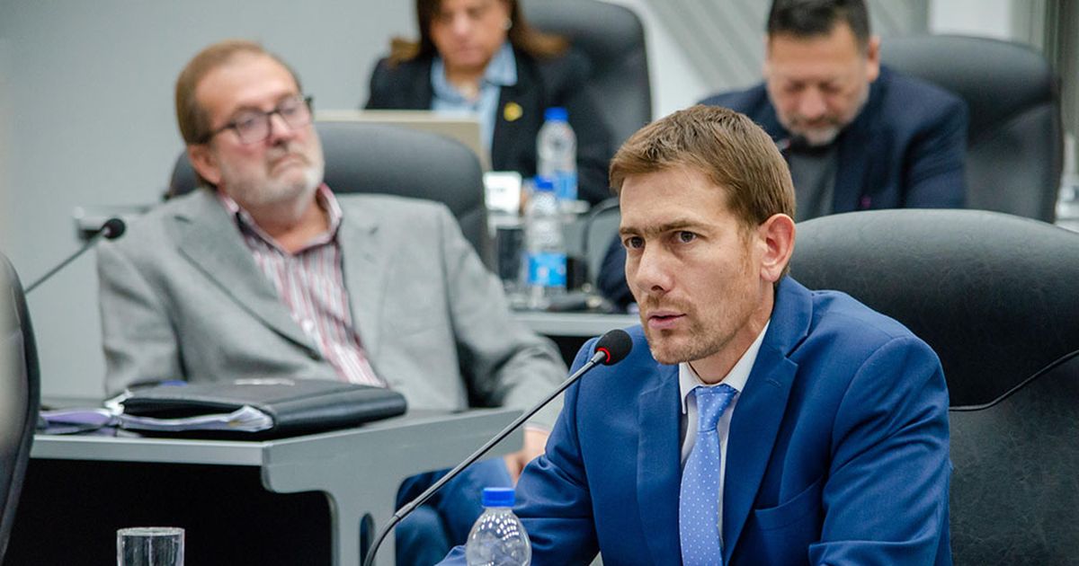 Quién es Javier Torroba, el debutante que en plena campaña rompió el ...