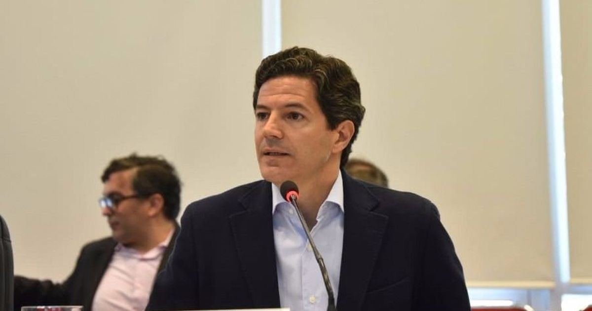 10D y después: Luciano Laspina hace equilibrio entre el PRO y LLA y ...