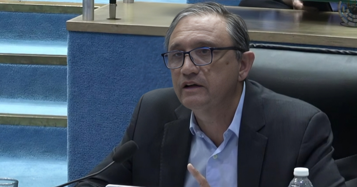 Río Negro: se desboca la interna libertaria para ver quién representa a ...