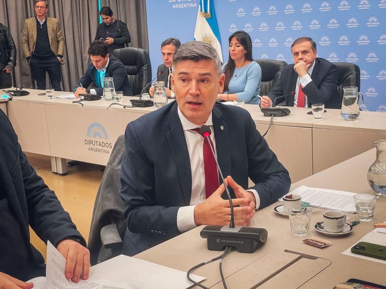 Daniel Passerini empuña la bandera federal y marca un límite al ...